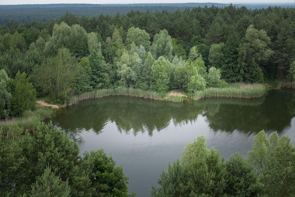 Lakes Trees Water - Free photo on Pixabay - Pixabay