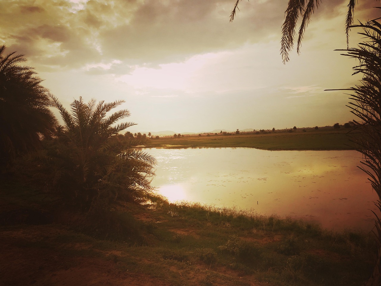Perfect Sunset - Free photo on Pixabay - Pixabay
