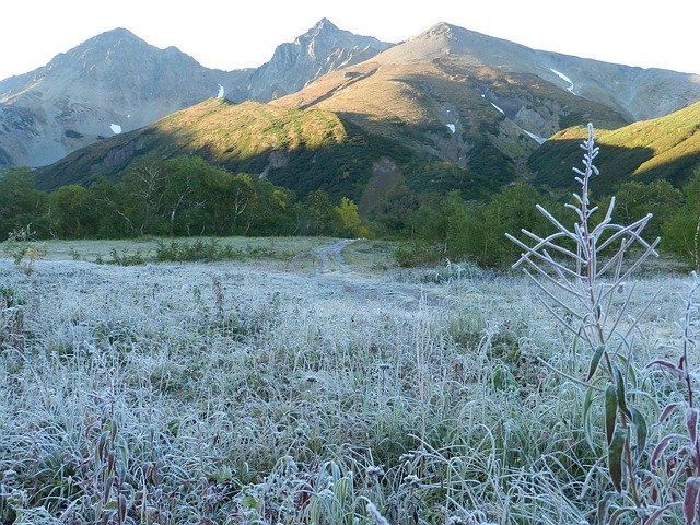 The First Frost Early Autumn - Free photo on Pixabay - Pixabay