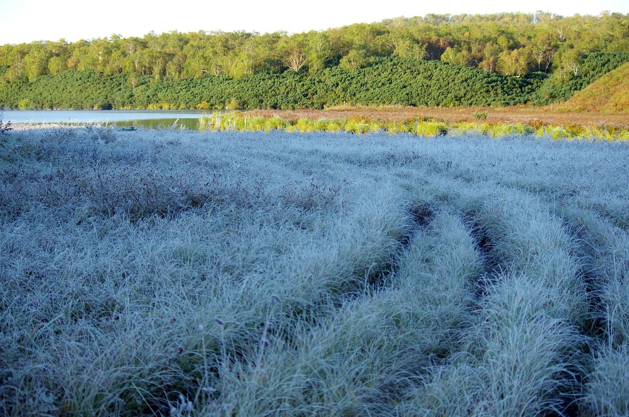 The First Frost Early Autumn - Free photo on Pixabay - Pixabay