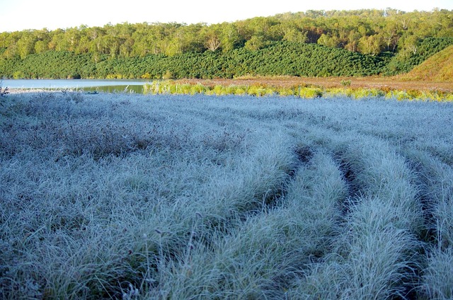 The First Frost Early Autumn - Free photo on Pixabay - Pixabay