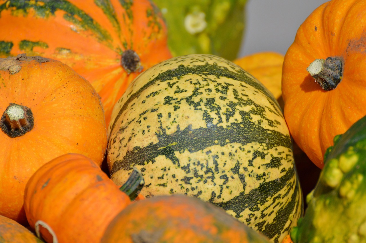 Citrouille Fruit Orange - Photo gratuite sur Pixabay - Pixabay