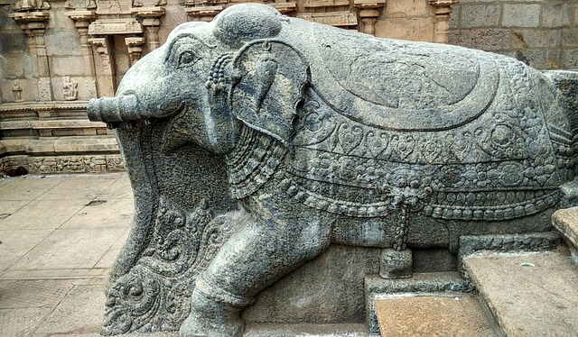 10,000+ Free South India & India Images - Pixabay