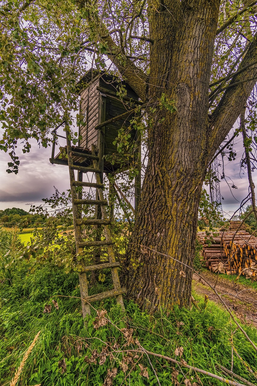Hunter'S Stand Wooden Hut - Free photo on Pixabay - Pixabay