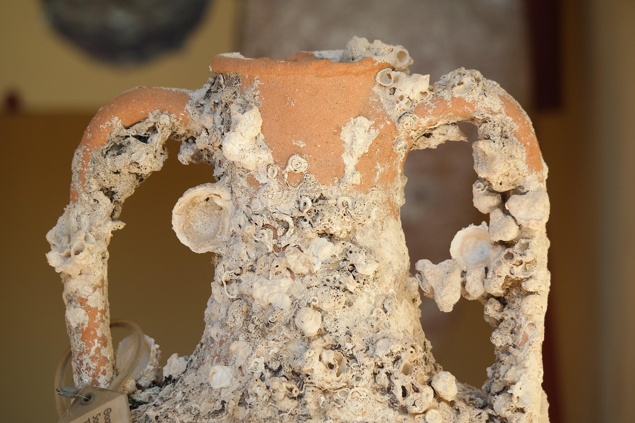 Jarra De Barro Mariscos Museo - Foto gratis en Pixabay