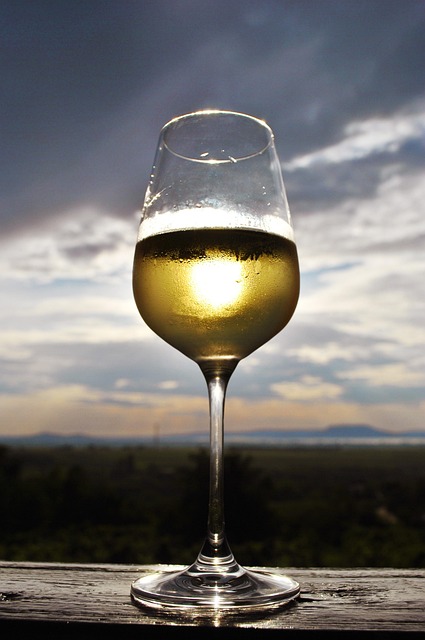 Lago Balaton Vino El - Foto gratis en Pixabay - Pixabay