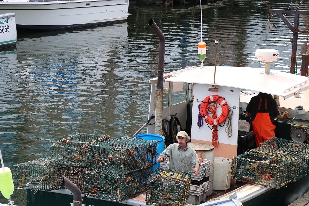 Lobster Traps Fishing Boat - Free photo on Pixabay - Pixabay