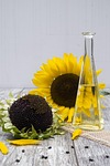 5 Seed oil Synonyms. Similar words for Seed oil.