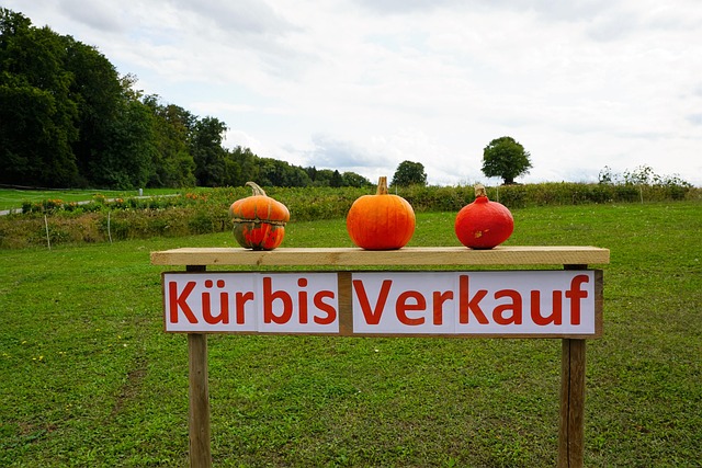 Pumpkin Sale Fall - Free photo on Pixabay
