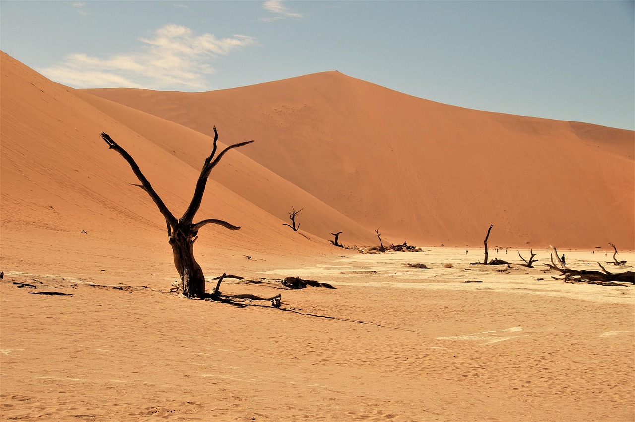 Gurun Namib Namibia Vlei - Foto gratis di Pixabay - Pixabay