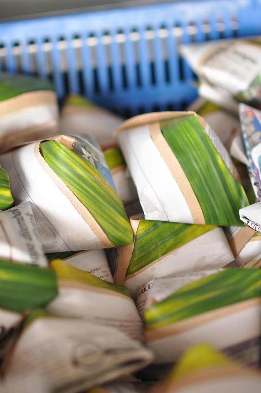 90+ Free Deli & Sandwich Images - Pixabay