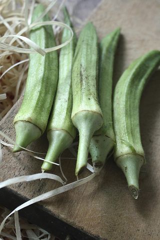 90+ Free Lady-Finger & Okra Images - Pixabay