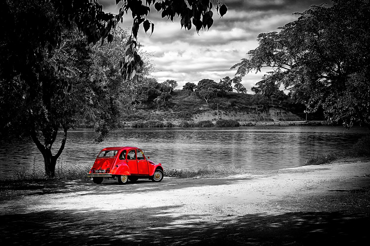 Car Trees Red - Free photo on Pixabay - Pixabay