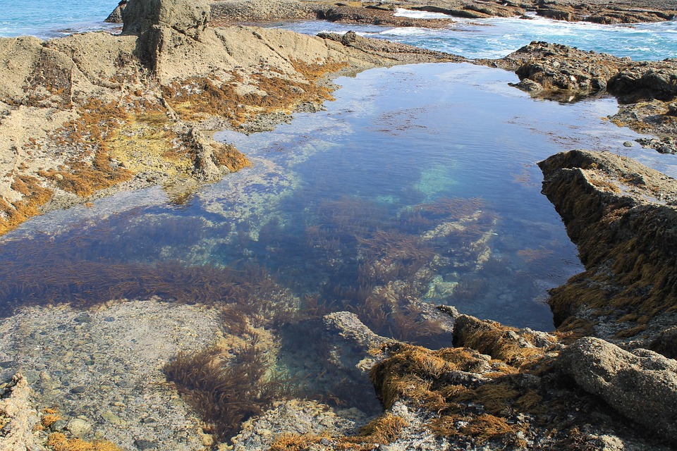 Tide Pool Ocean Water Free Photo On Pixabay Pixabay Tide Pool Ocean Water Free Photo On Pixabay Pixabay