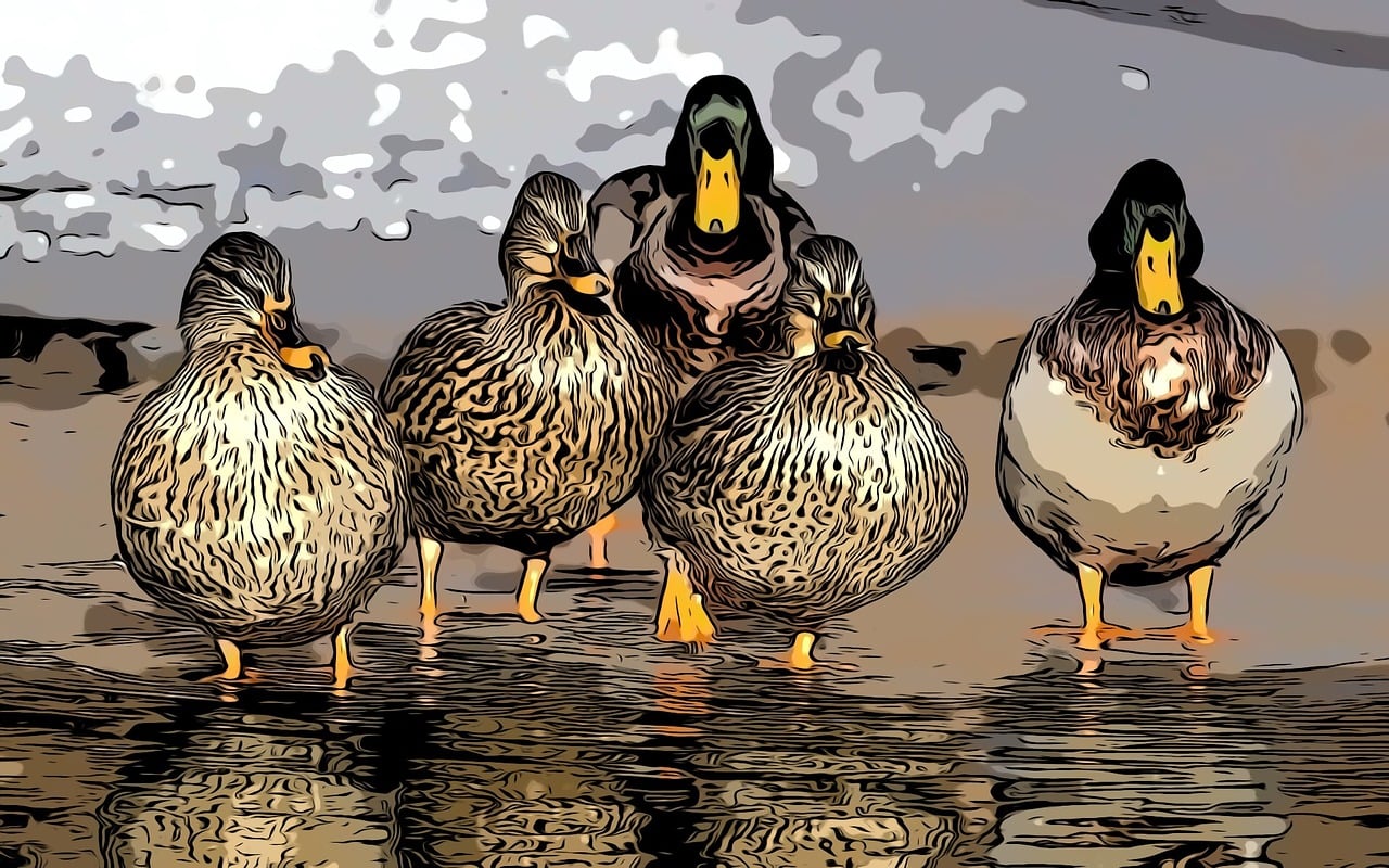 Download Comic, Birds, Wild. Royalty-Free Stock Illustration Image ...