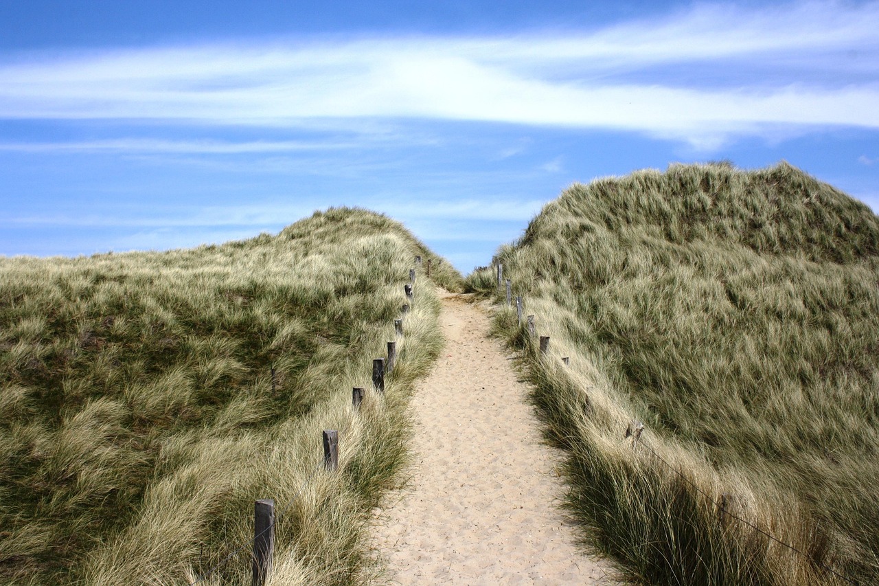 600+ kostenlose Sylt und Natur-Bilder - Pixabay