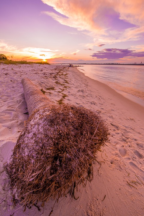 Beach Gulf Coast Florida - Free photo on Pixabay