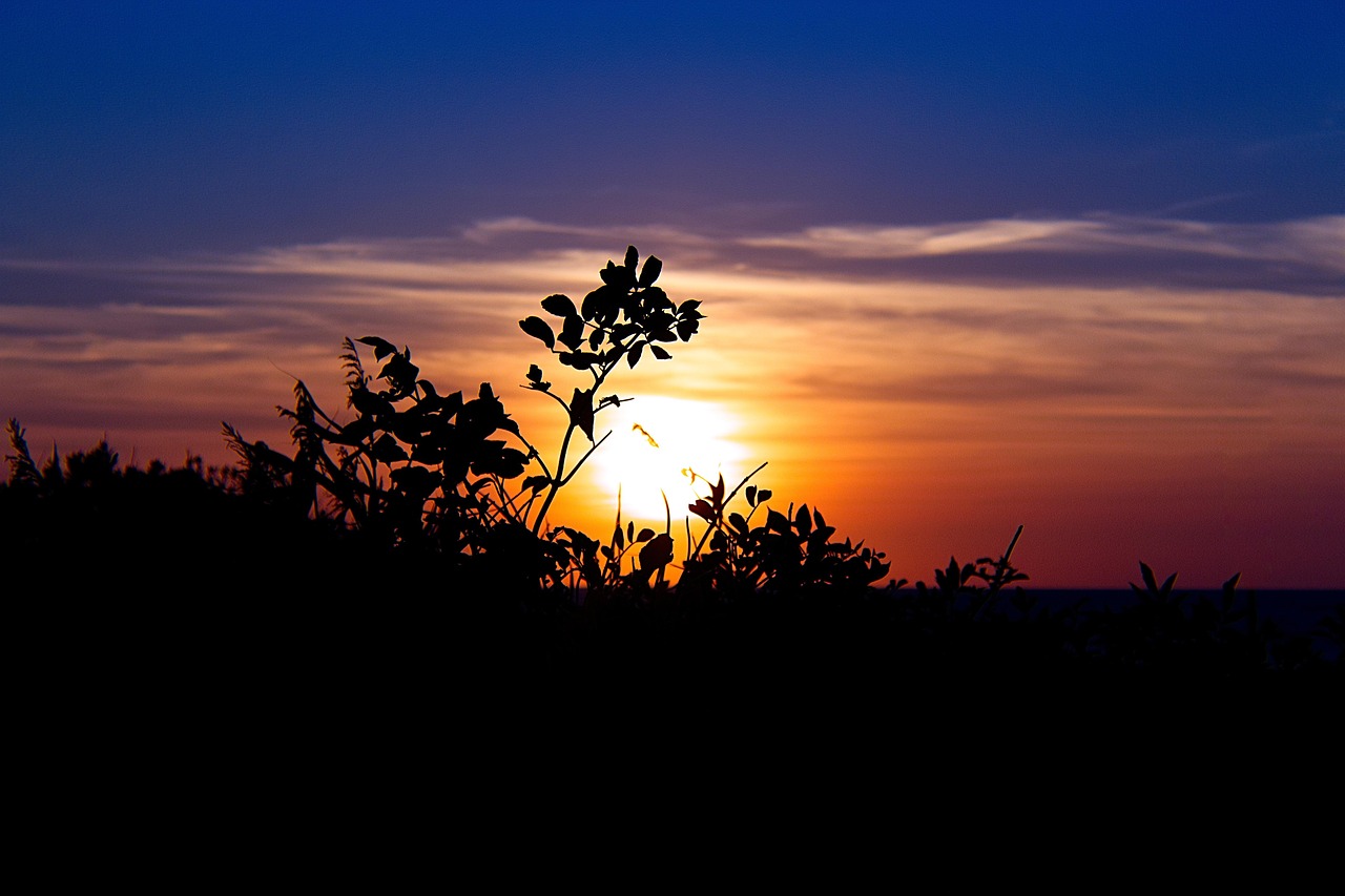 200+ Free Downfall & Nature Images - Pixabay