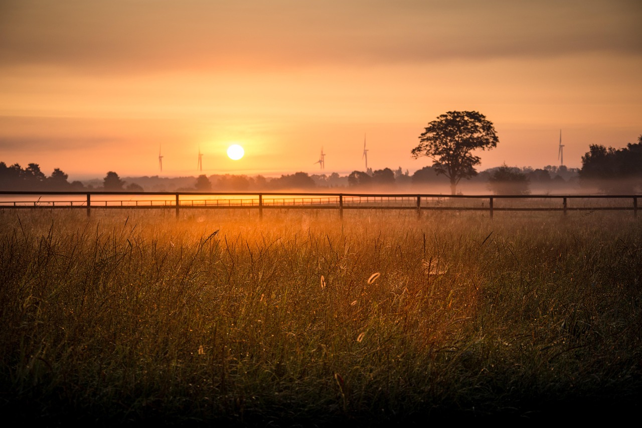Sunrise Mood Morning In The - Free photo on Pixabay - Pixabay