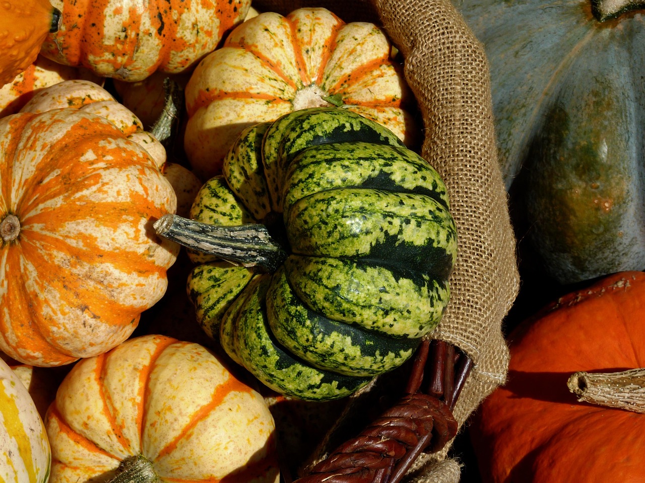 20,000+ Free Thanksgiving Church & Thanksgiving Images - Pixabay