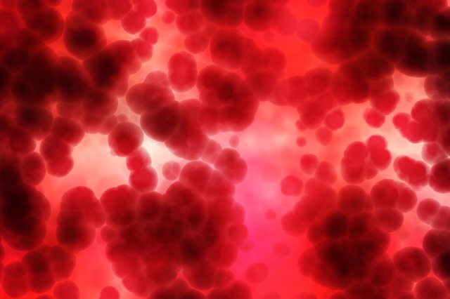 10,000+ Free Blood Group & Health Images - Pixabay