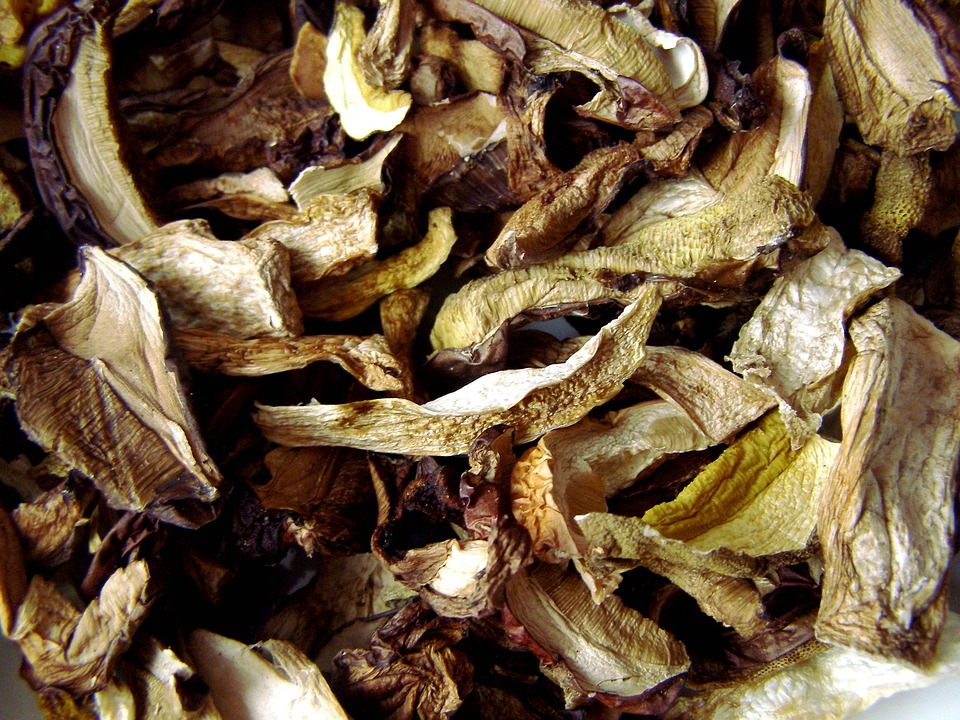 Mushrooms Dried Drying - Free photo on Pixabay