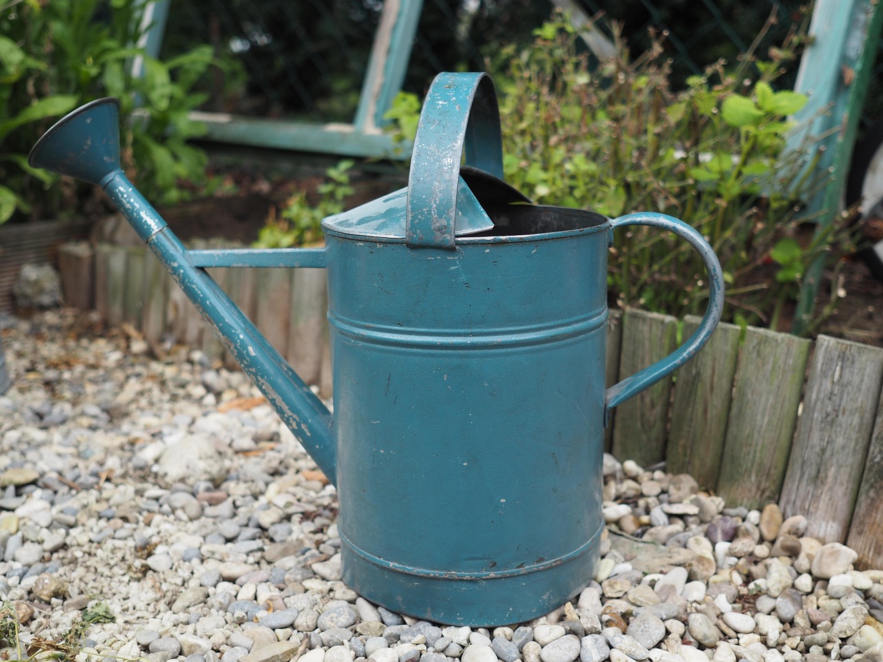 Watering Can Gardening Metal - Free photo on Pixabay - Pixabay