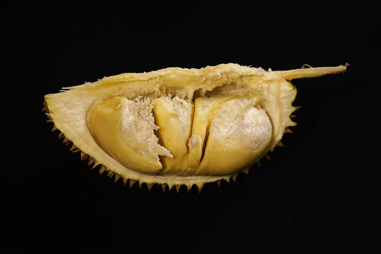 Durian Fruit King Of Fruits - Free photo on Pixabay - Pixabay