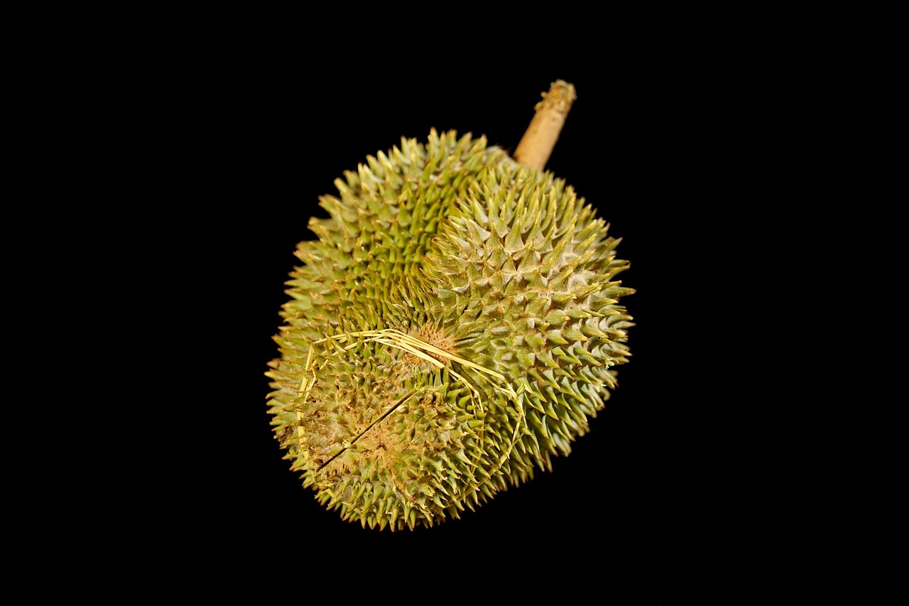 Durian Fruit King Of Fruits Thorny - Free photo on Pixabay
