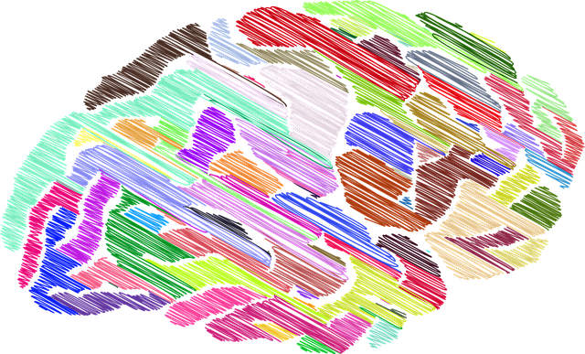 Brain Mind Thinking - Free vector graphic on Pixabay
