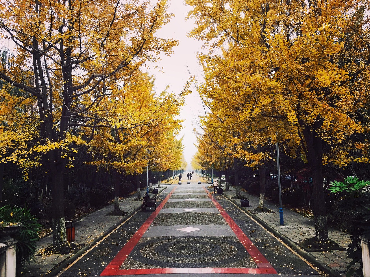 Chengdu China Street - Free photo on Pixabay
