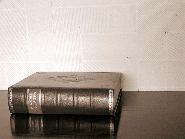8+ kostenlose Alt-Buch-Cover und Buch-Bilder - Pixabay