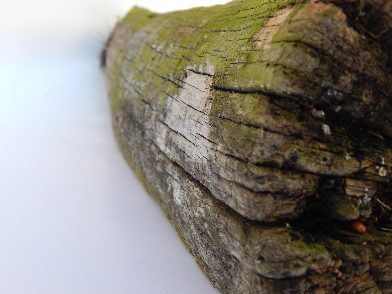 Wood Col Plot - Free photo on Pixabay