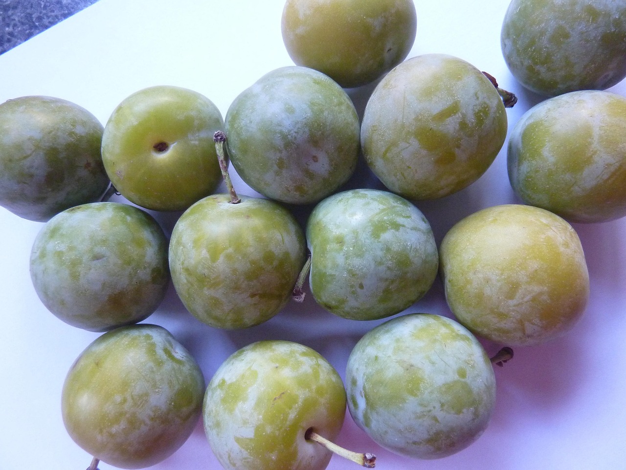 Greengages Gages Fruit - Free photo on Pixabay