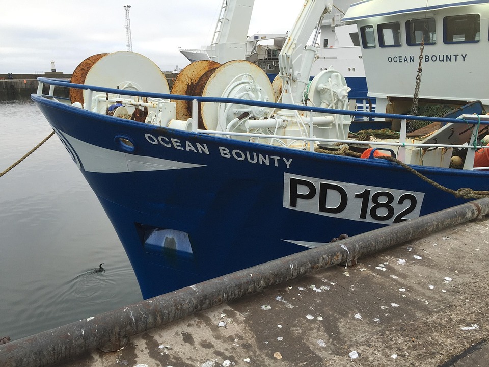 Fish Market Peterhead - Free photo on Pixabay - Pixabay