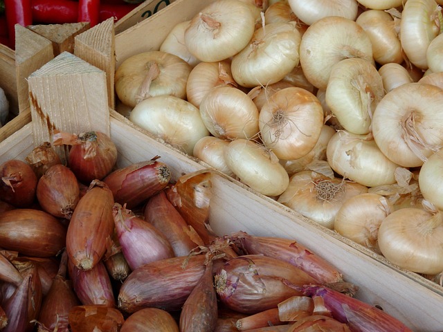 Cebolla Verduras Mercado - Foto gratis en Pixabay - Pixabay