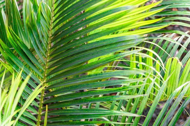 Sucursales Verde Vegetal - Foto gratis en Pixabay