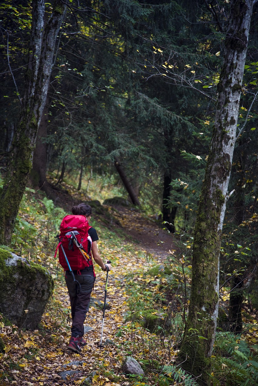 Trekking Sport Berg - Kostenloses Foto auf Pixabay