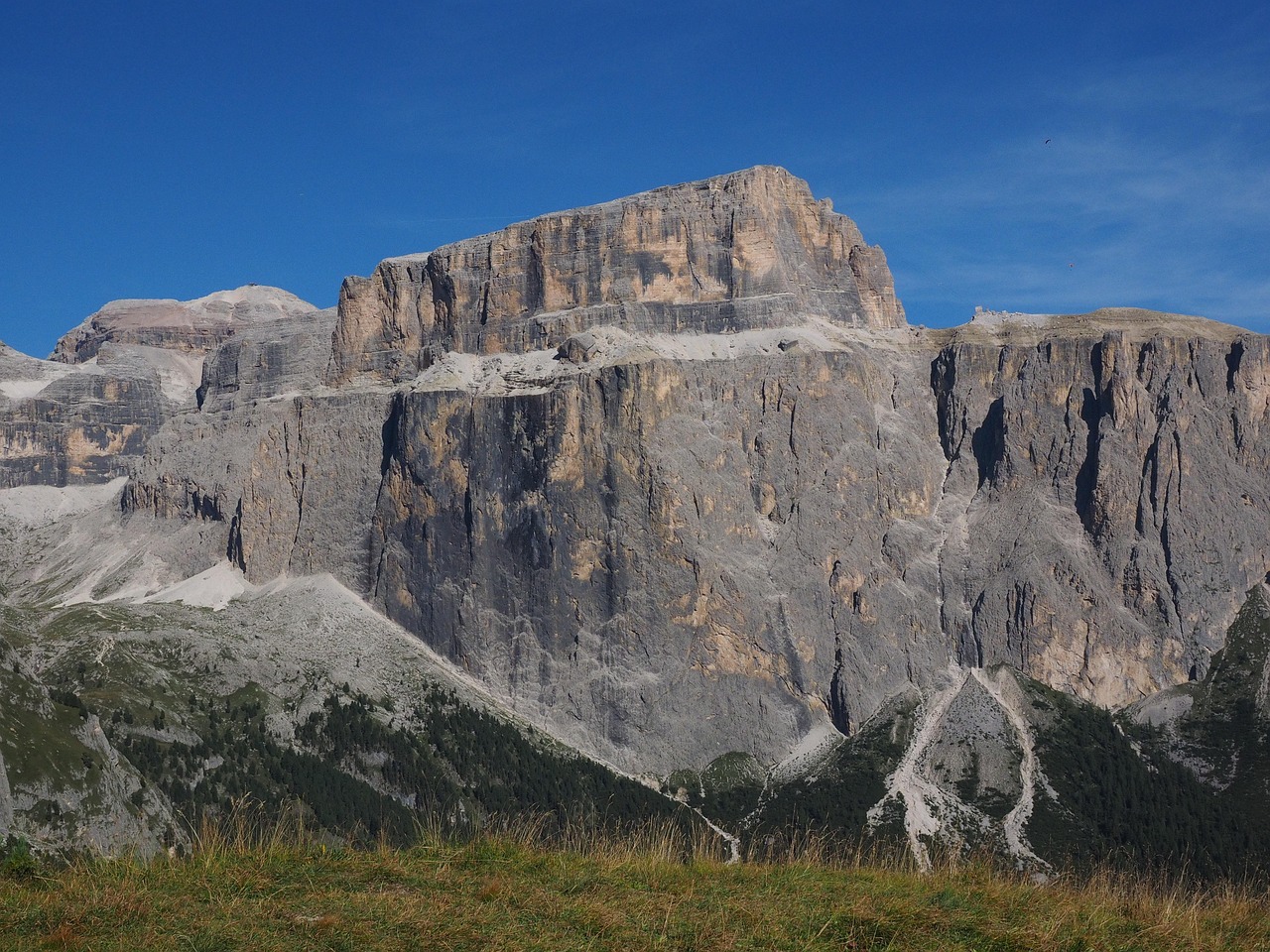 200+ Free Piza & Nature Images - Pixabay