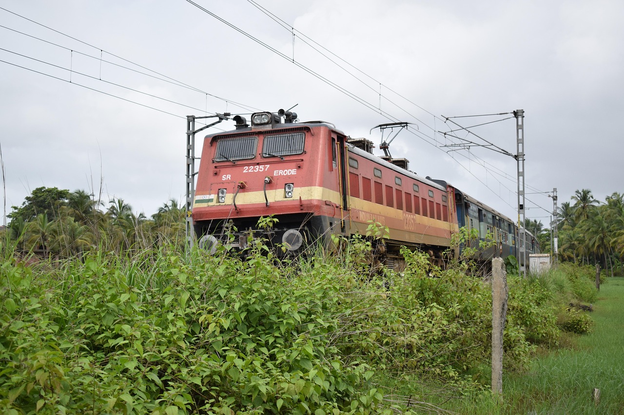 1,000+ Free Kerala & India Images - Pixabay