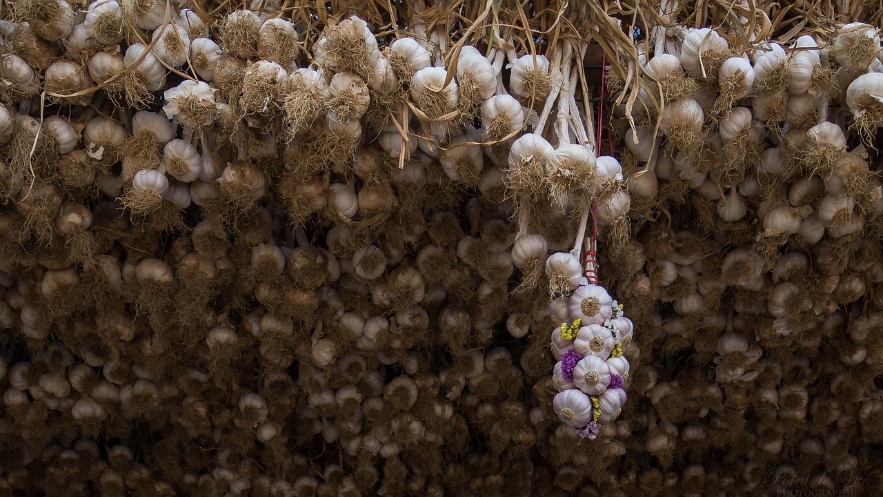 40+ Free Pink Garlic & Garlic Images - Pixabay