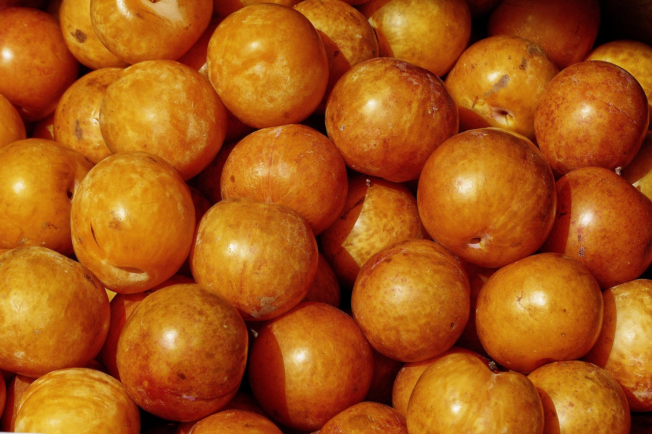 Damasco Fruta De Pedra - Foto gratuita no Pixabay - Pixabay