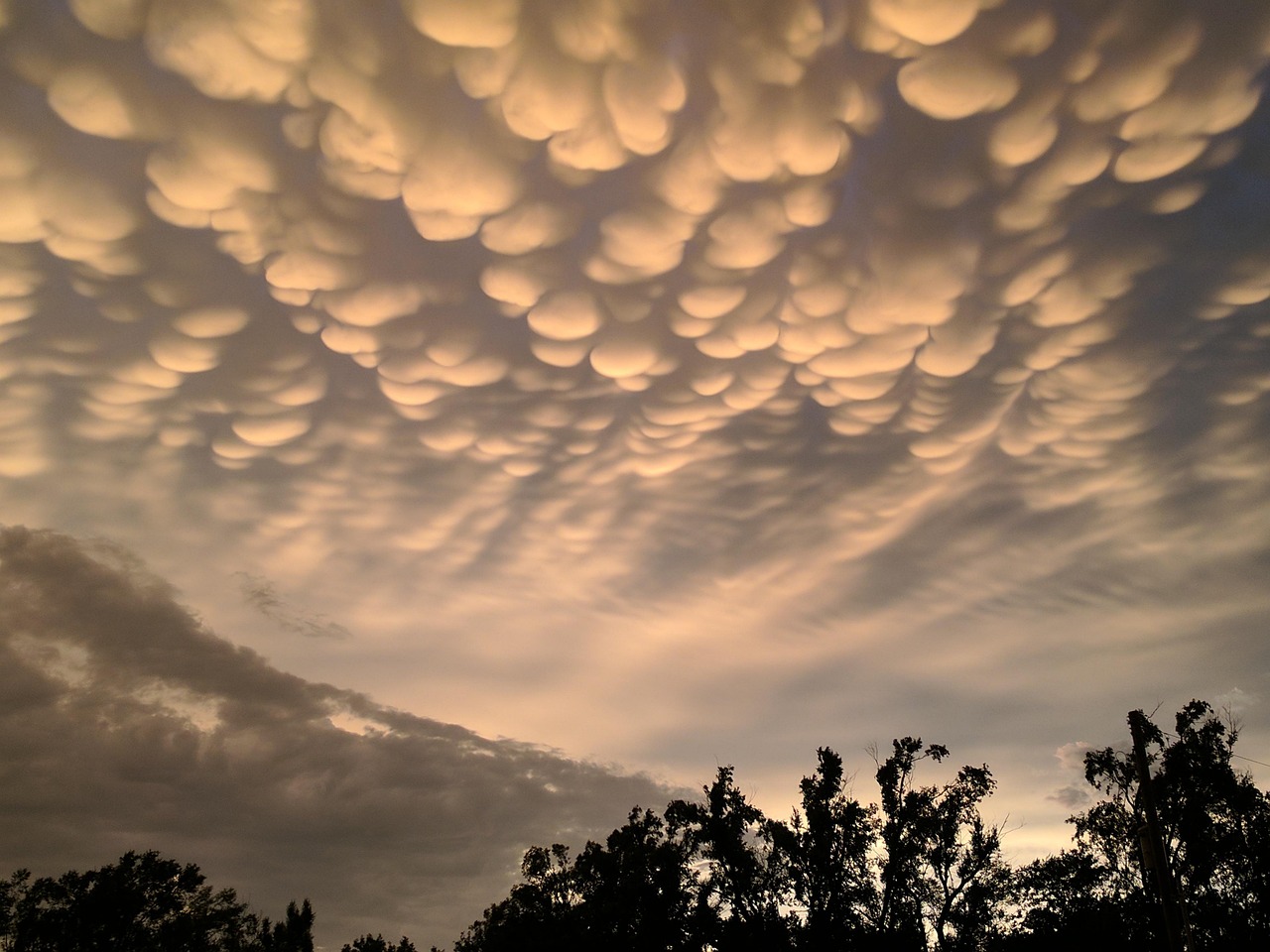 100+ Free Kansas & Kansas City Images - Pixabay