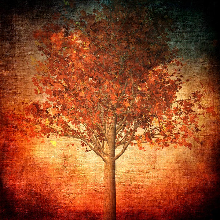 Fall Autumn Leaves Tree - Free photo on Pixabay - Pixabay