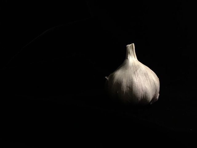 60+ Free Black Garlic & Garlic Images - Pixabay