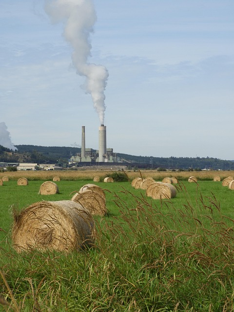 Steam Plant Hay Field - Free photo on Pixabay - Pixabay