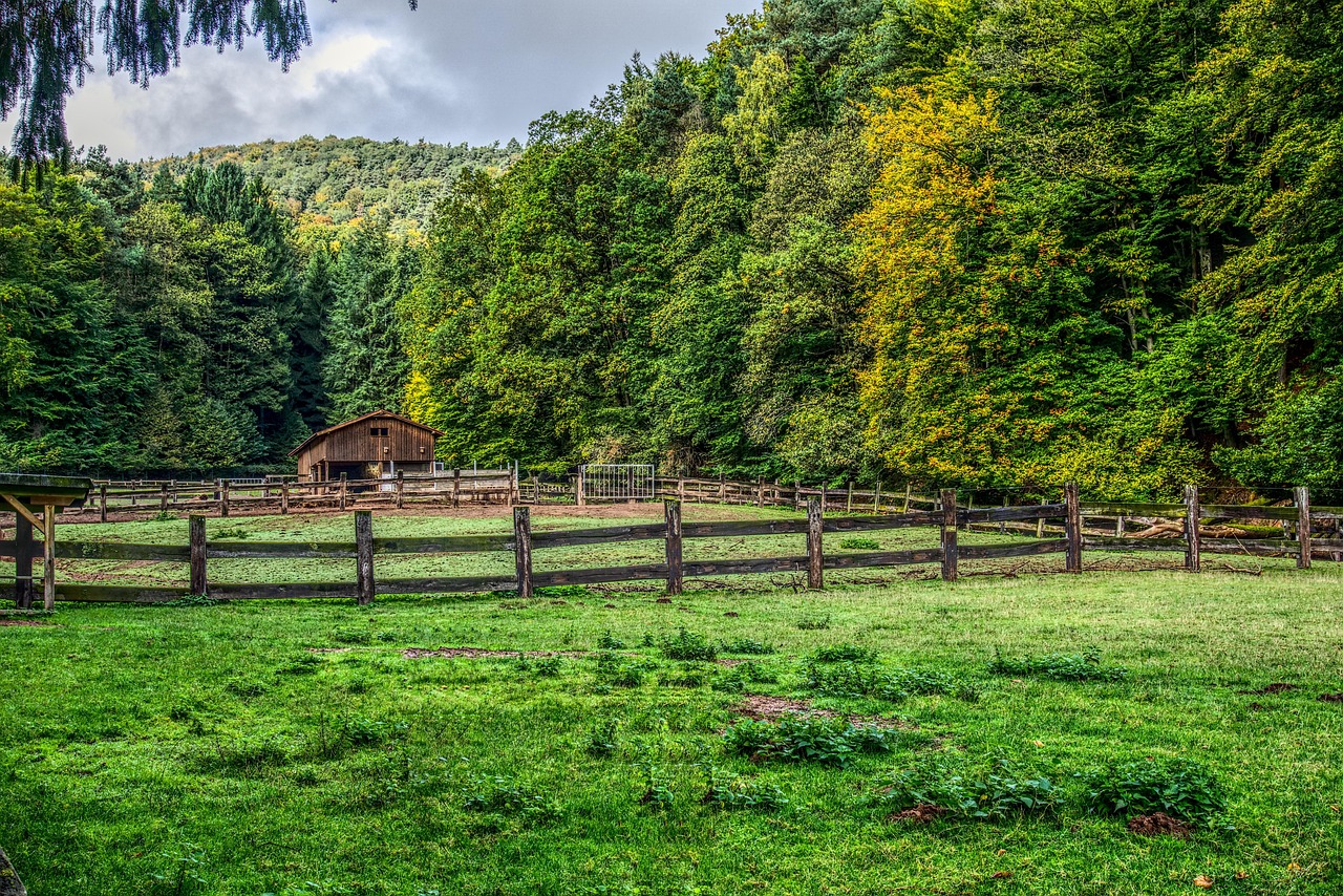 Pasture Cattle Fence Wooden - Free photo on Pixabay - Pixabay