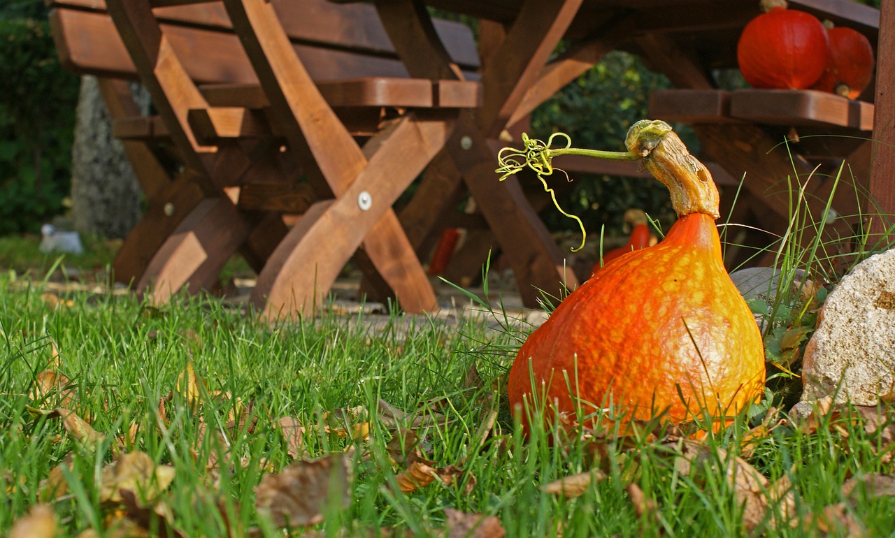 Citrouille Automne Citrouilles - Photo gratuite sur Pixabay - Pixabay