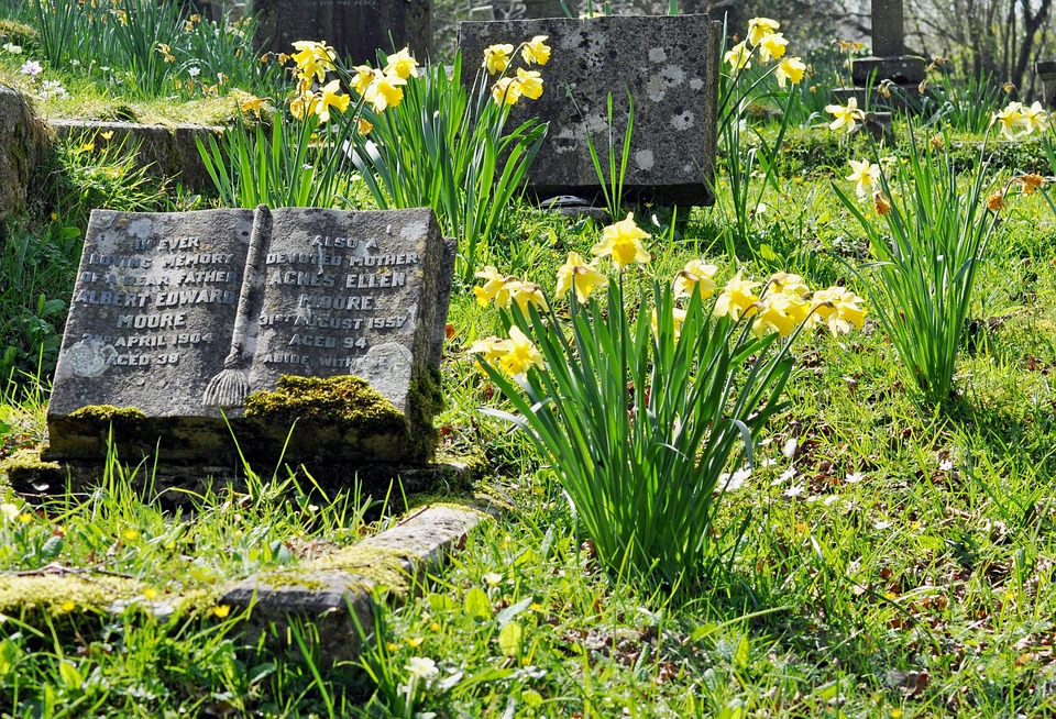 Spring Cemetery Grave - Free photo on Pixabay - Pixabay