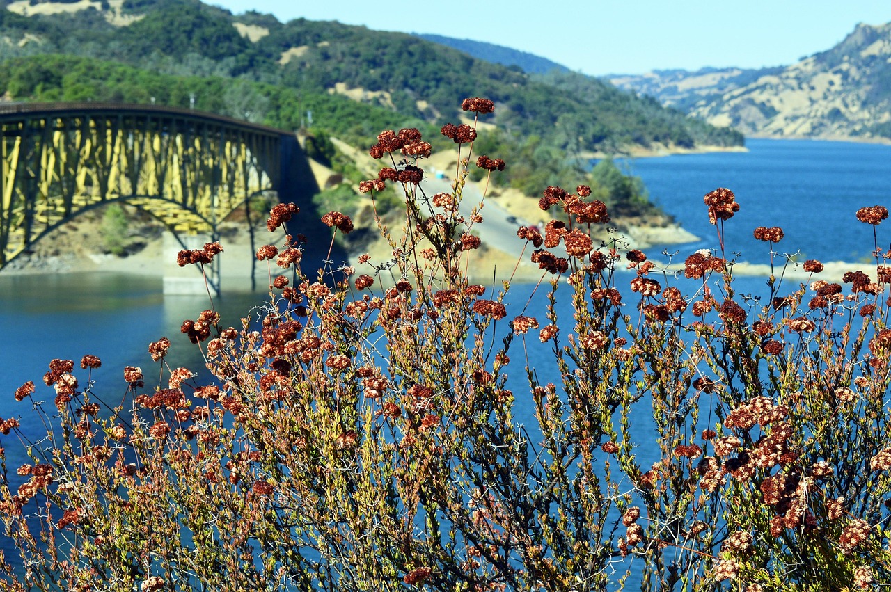 100,000+ Free Sonoma Coast State Park & Park Images - Pixabay